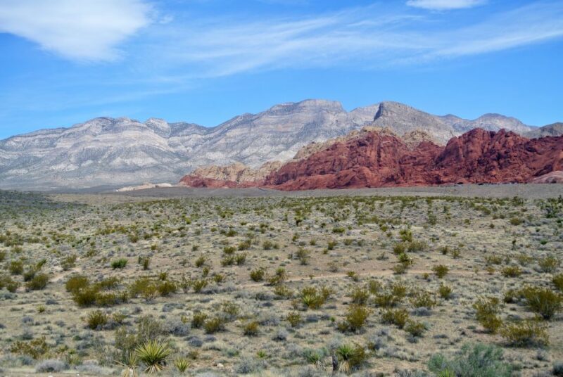 Las Vegas: Mojave, Red Rock Sign and 7 Magic Mountains Tour - Final Thoughts