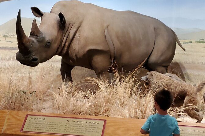 Las Vegas Natural History Museum Admission Ticket - Practical Tips for Visitors