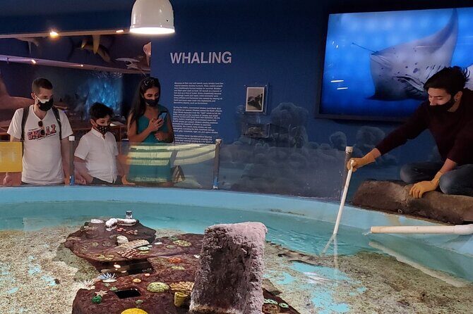 Las Vegas Natural History Museum Admission Ticket - FAQ about the Las Vegas Natural History Museum