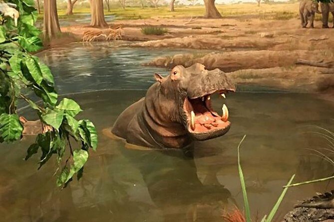 Las Vegas Natural History Museum Admission Ticket - Final Thoughts
