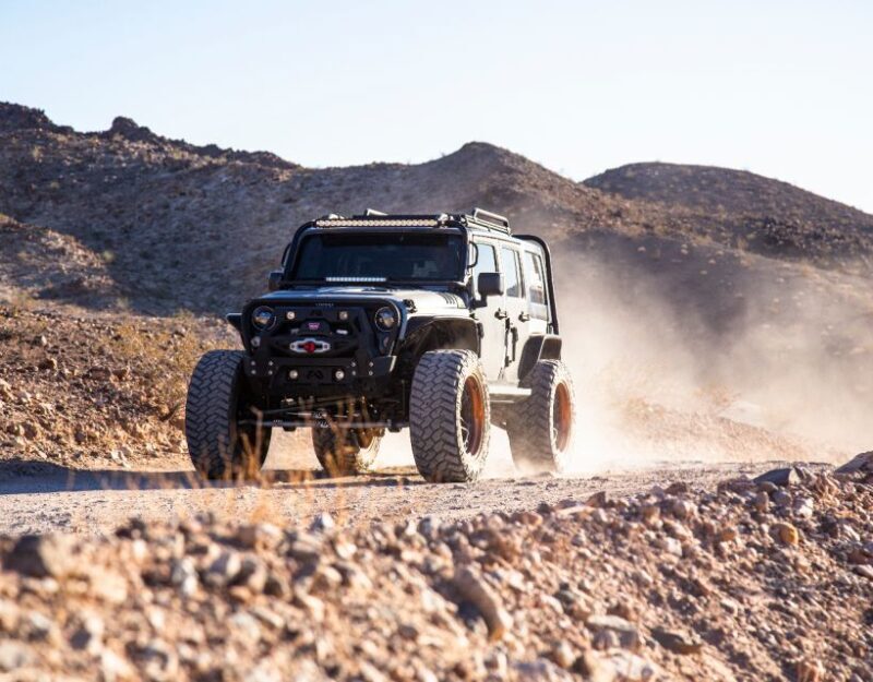 Las Vegas- Offroad Experience Wildlife, Ghost Towns and more - Breakdown of the Itinerary