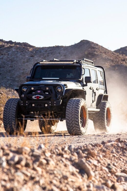 Las Vegas- Offroad Experience Wildlife, Ghost Towns and more - The Sum Up