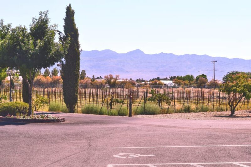 Las Vegas / Pahrump Wine Tasting Tour and snacks - Key Points