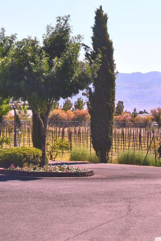Las Vegas / Pahrump Wine Tasting Tour and snacks - Who Should Consider This Tour?