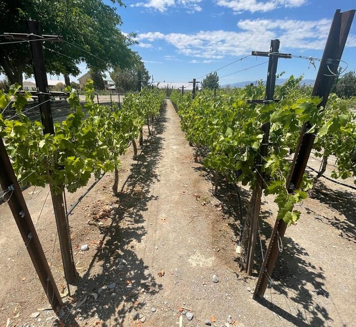 Las Vegas / Pahrump Wine Tasting Tour and snacks - Frequently Asked Questions