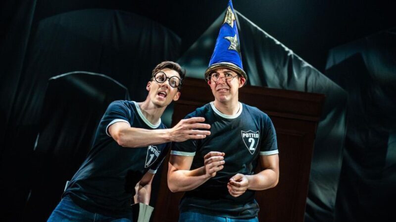 Las Vegas: Potted Potter - The Unauthorized Harry Experience - Authentic Experiences and Audience Feedback