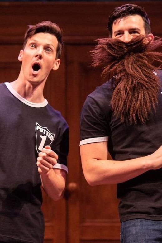 Las Vegas: Potted Potter - The Unauthorized Harry Experience - Who Would Enjoy Potted Potter?