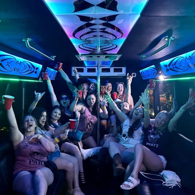 Las Vegas: Private Karaoke Party Bus Tour with Pickup - Who Should Consider This Tour?