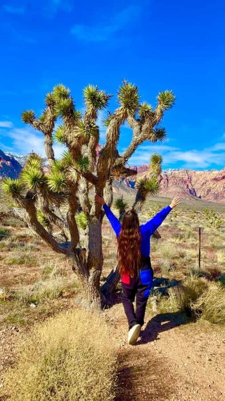 Las Vegas: Private Red Rock Canyon Guided Driving Adventure - Key Points