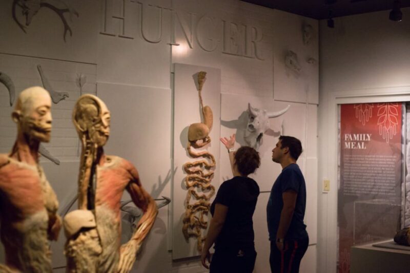 Las Vegas: REAL BODIES at Horseshoe Las Vegas Entry Ticket - Fine-Tuning Your Visit