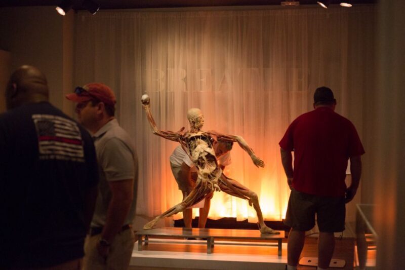 Las Vegas: REAL BODIES at Horseshoe Las Vegas Entry Ticket - An In-Depth Look at the REAL BODIES Experience
