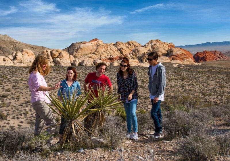 Las Vegas: Red Rock Canyon Tour & Rocky Gap 4x4 Adventure - The Guides: Knowledgeable and Engaging
