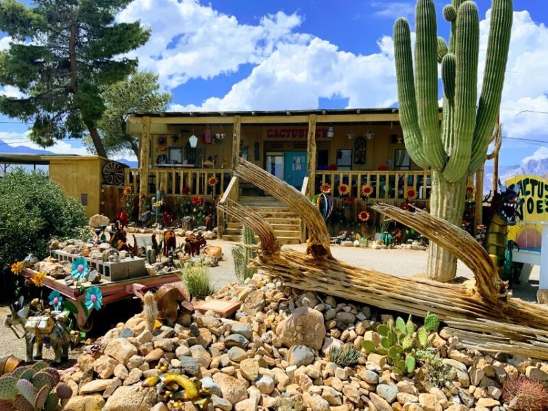Las Vegas: Red Rock Canyon & Whimsical Cactus Joe's + Lunch - Who should consider this tour?