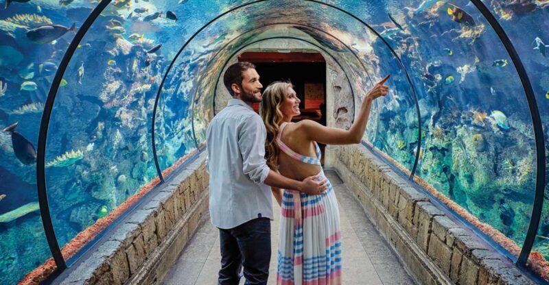 Las Vegas: Shark Reef Aquarium & VR Experience Entry Ticket - Is It Worth the Price?