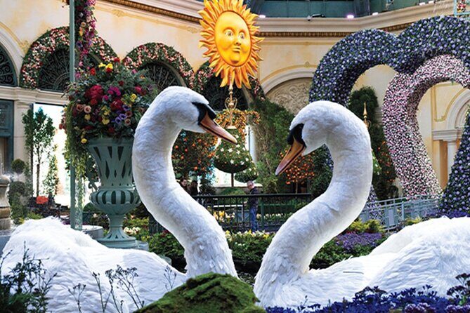 Las Vegas Sightseeing City Tour With Stops Best Casinos - Who Will Enjoy This Tour?