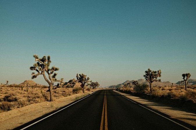 Las Vegas To Los Angeles One Way Tour Joshua Tree National Park - Who Should Consider This Tour?