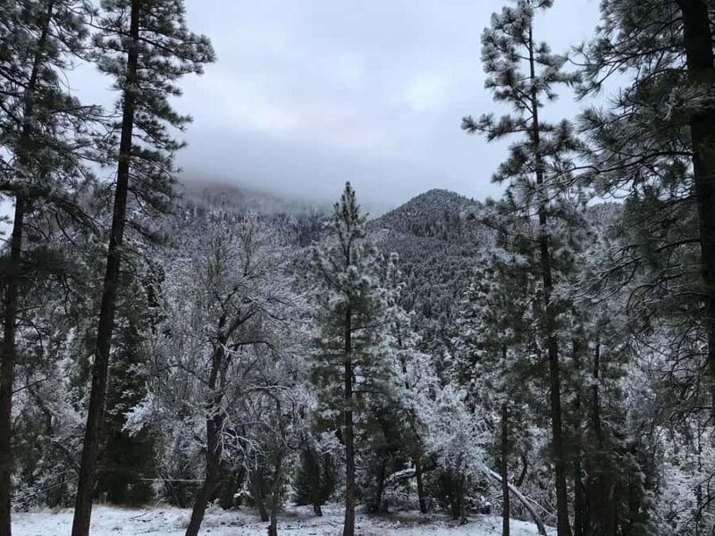 Las Vegas: Ultimate Snowplay Adventure at Mount Charleston - Final Thoughts: Who Should Consider This Tour?