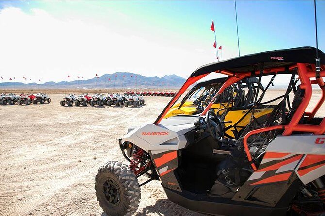 Las Vegas UTV / Buggy's Tours - The Sum Up: Is This Tour Right for You?