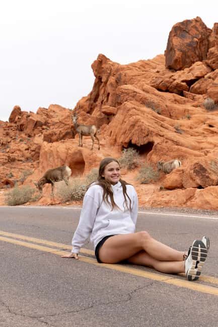 Las Vegas: Valley of Fire and Red Rock Canyon Day Trip - Key Points