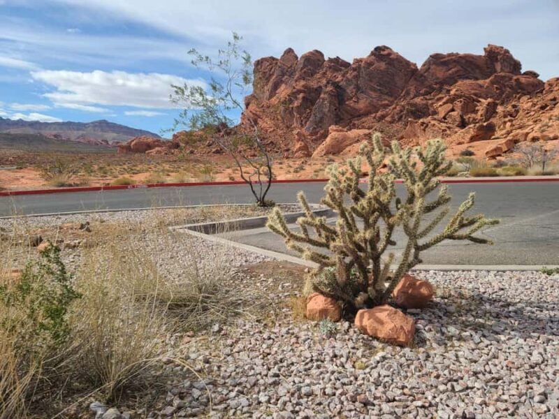 Las Vegas: Valley of Fire and Red Rock Canyon Tour - An In-Depth Look at the Tour Experience