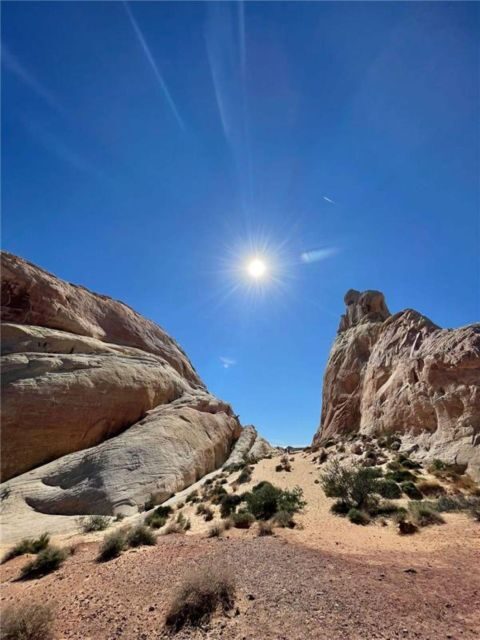 Las Vegas: Valley of Fire Guided Tour in Spanish - A Close Look at the Valley of Fire Guided Tour in Spanish