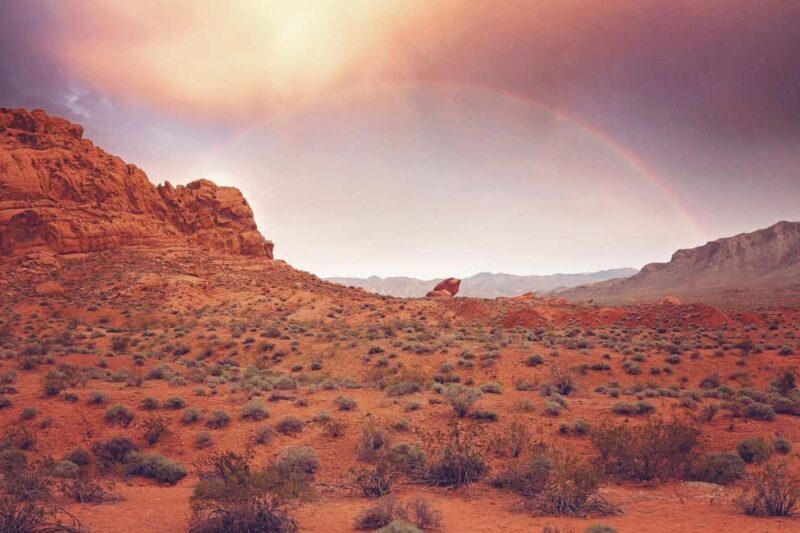 Las Vegas: Valley of Fire State Park Guided Tour - Summary of the Experience