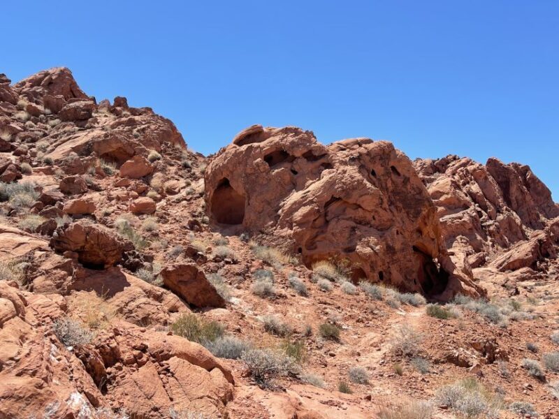 Las Vegas: Valley Of Fire State Park Tour - Who Should Consider This Tour?