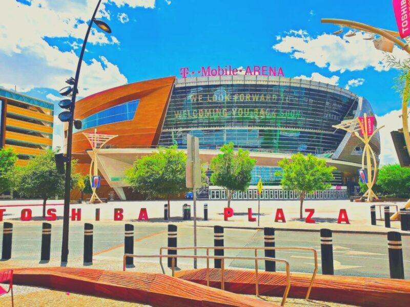 Las Vegas: Vegas Golden Knights Ice Hockey Game Ticket - The Venue and Atmosphere