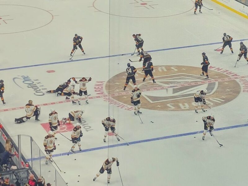 Las Vegas: Vegas Golden Knights Ice Hockey Game Ticket - Why It’s Good Value