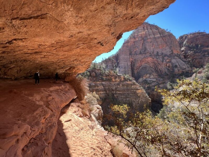Las Vegas: VIP Guided Photography & Hiking Tour of Zion NP - What Travelers Say