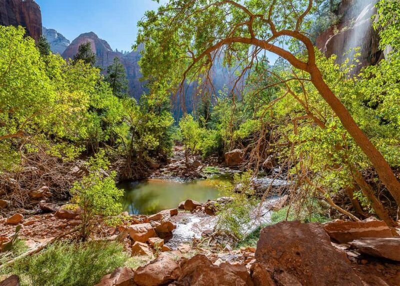 Las Vegas: Zion National Park Guided Tour with Lunch - Learning & Appreciating Zion