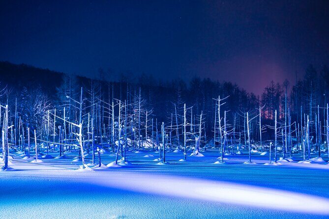 [Late Departure] Biei Best 5 Must-Visit Day Tour from Sapporo - The Best Fit for This Tour