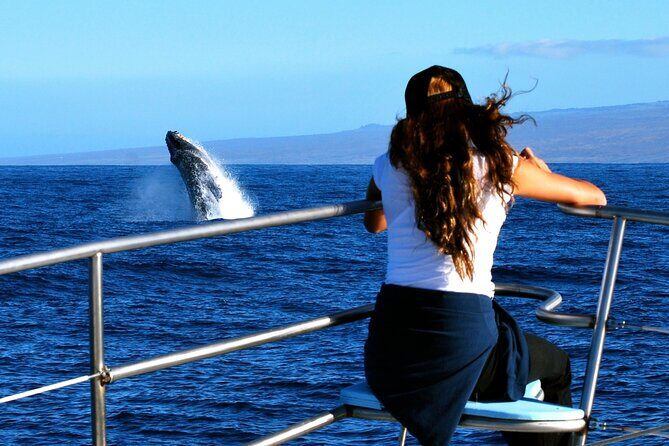 Late Morning Whale Watch Cruise from A'bay - The Journey Begins: Inside the Kit