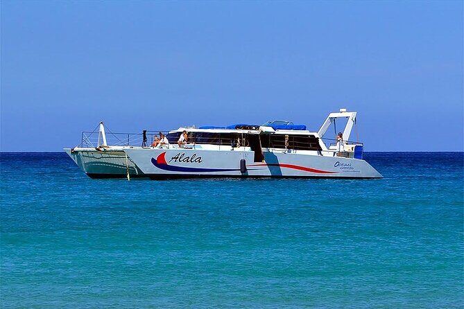 Late-Morning Whale Watch from Kawaihae - The Authentic Experience: What Really Sets This Tour Apart