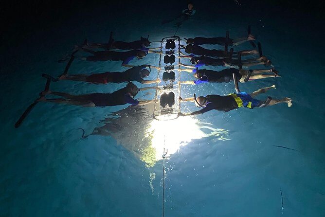 Late Night Manta Snorkel - What Its Like to Snorkel With Manta Rays at Night