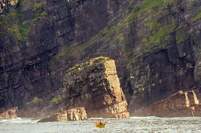 Late Season Puffin & Scenic Coastal Cruise - Introduction to the Experience