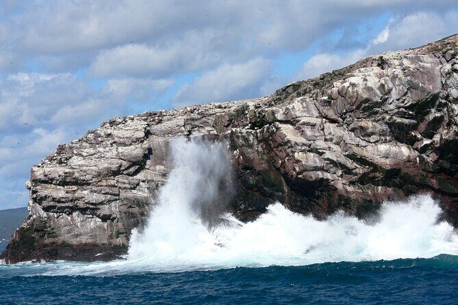 Late Season Puffin & Scenic Coastal Cruise - The Sum Up: Who Is This Tour For?