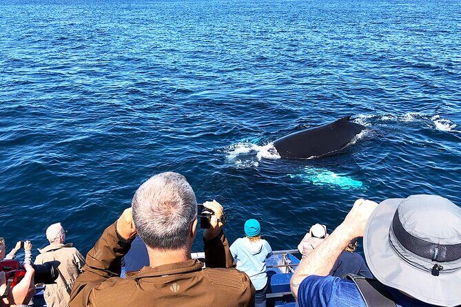 Late Season Puffin & Scenic Coastal Cruise - Frequently Asked Questions