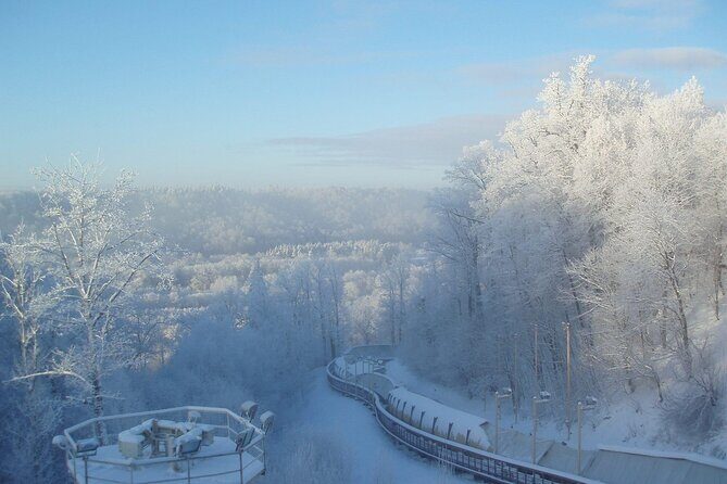 Latvia Bobsleigh and luge track ride experience (Summer Bob) - Insights from Past Travelers