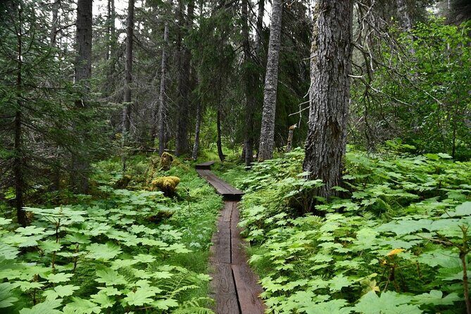 Laughton Glacier Hike and White Pass Rail Adventure - Laughton Glacier Hike and White Pass Rail Adventure: A Deep Dive into Alaska’s Wilderness