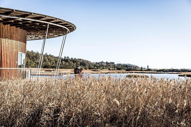 Launceston and Surroundings Day Tour Private Charter Service - Who Will Love This Tour?