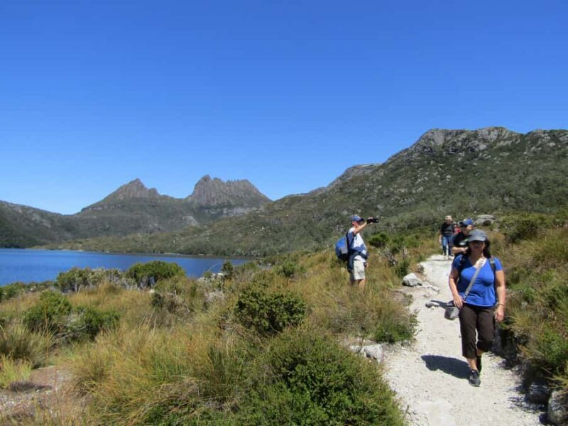 Launceston: Cradle Mountain Guided Active Day Trip - Who Would Enjoy This Tour?