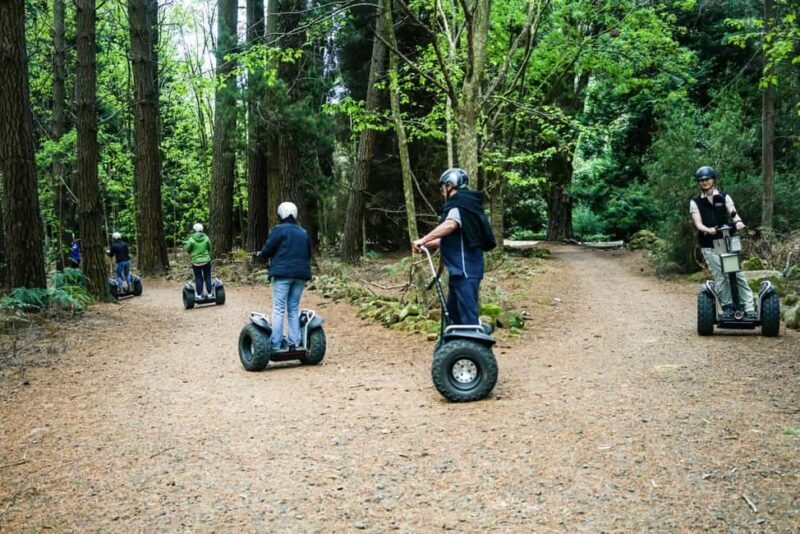 Launceston: Hollybank Forest Guided Segway Tour with Photos - Navigating the Practicalities