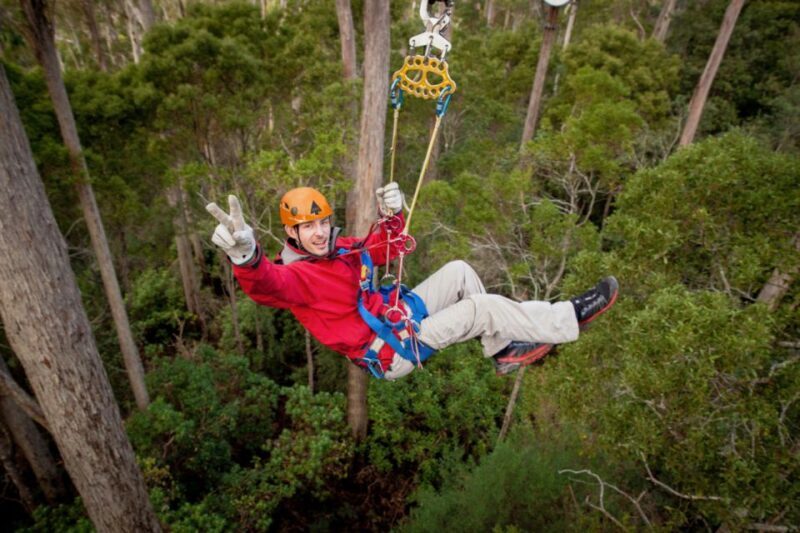 Launceston: Hollybank Forest Treetop Zip Lining with Guide - What to Expect on This Hollybank Zipline Tour