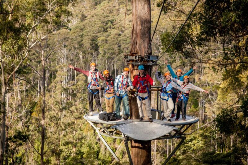 Launceston: Hollybank Forest Treetop Zip Lining with Guide - The Scenic and Educational Value