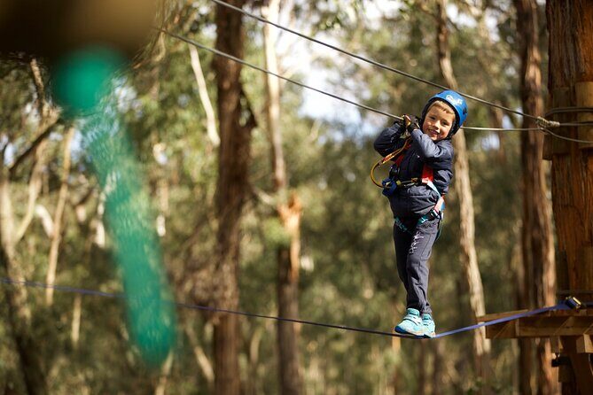 Launceston Hollybank Junior Tree Ropes Course - FAQs