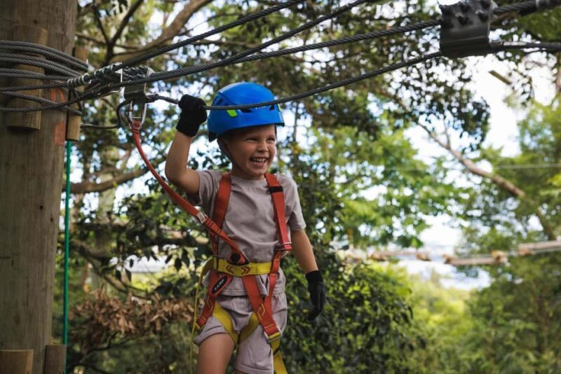 Launceston: Hollybank Junior Tree Ropes Course - Key Points