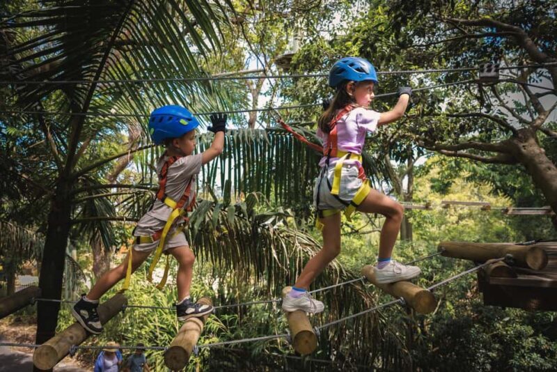 Launceston: Hollybank Junior Tree Ropes Course - What to Expect at the Hollybank Junior Tree Ropes Course