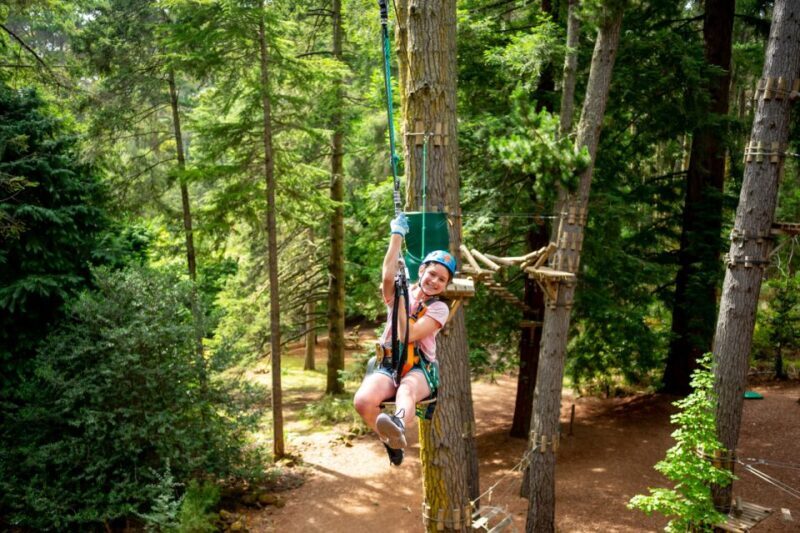Launceston: Hollybank Tree Ropes Course - Introduction
