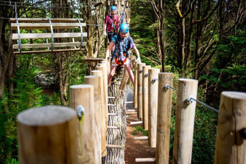 Launceston: Hollybank Tree Ropes Course - The Experience Itself